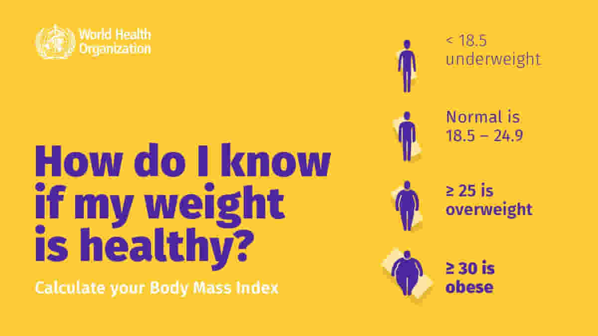 obesity in athletes | Sports Digest