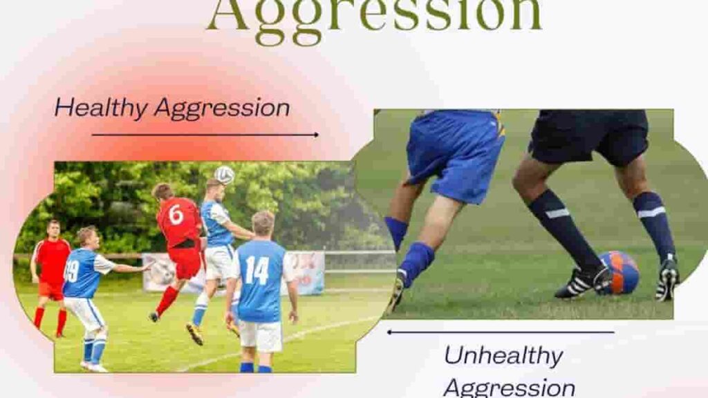 Practices to Reduce Aggression Among Athletes – An Overview