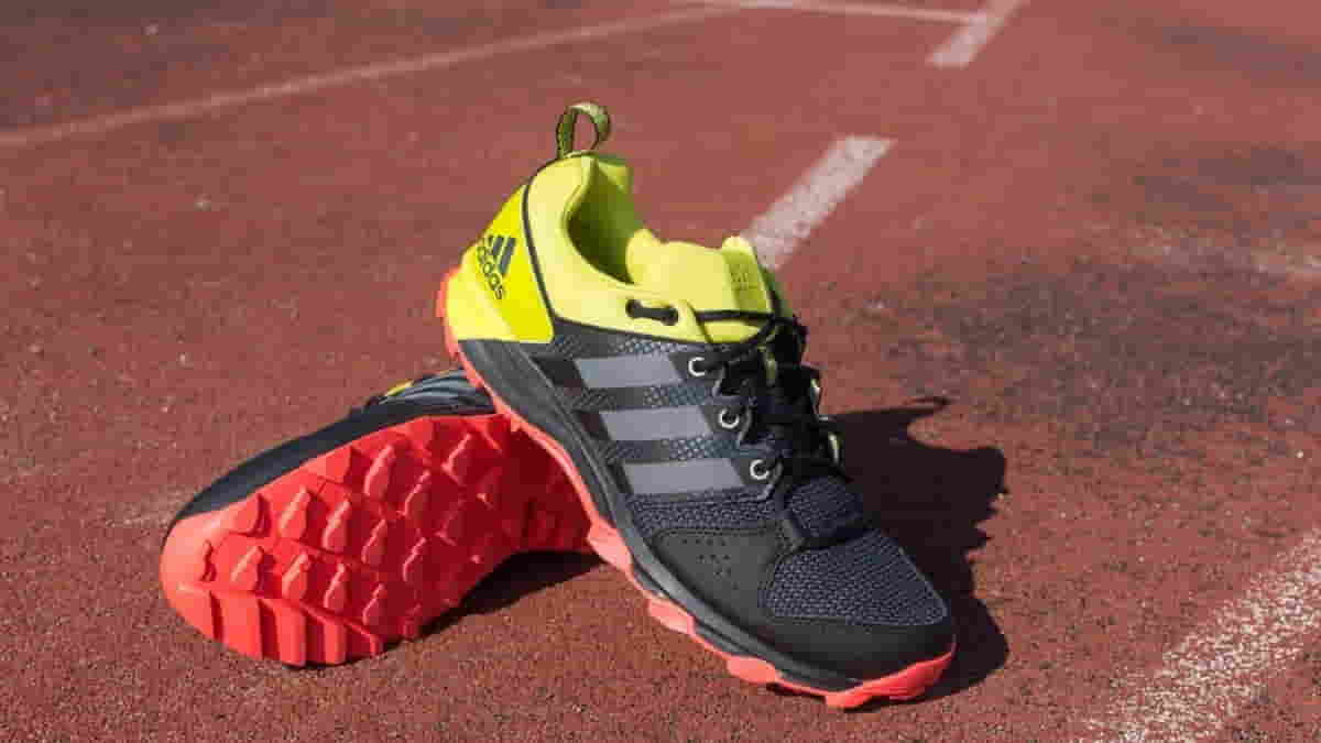 New York | Sports Digest