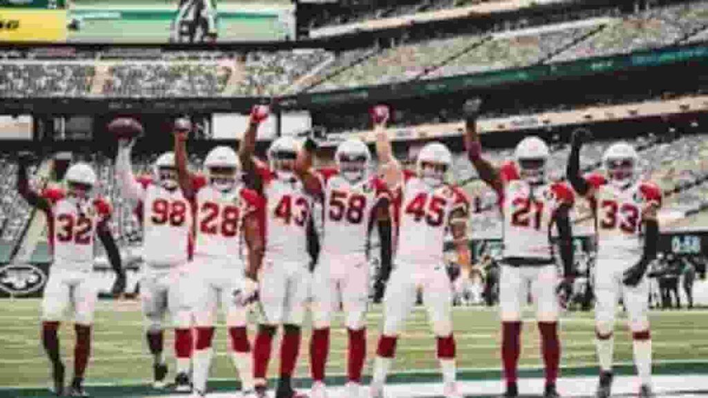NFC Team: Arizona Cardinals Team History, Overview and Analysis ...