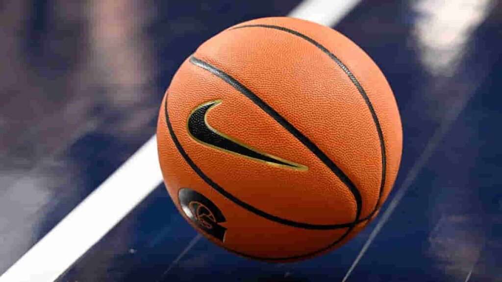 Does Talent or Persistence Play a Primary Role in a Basketball Career