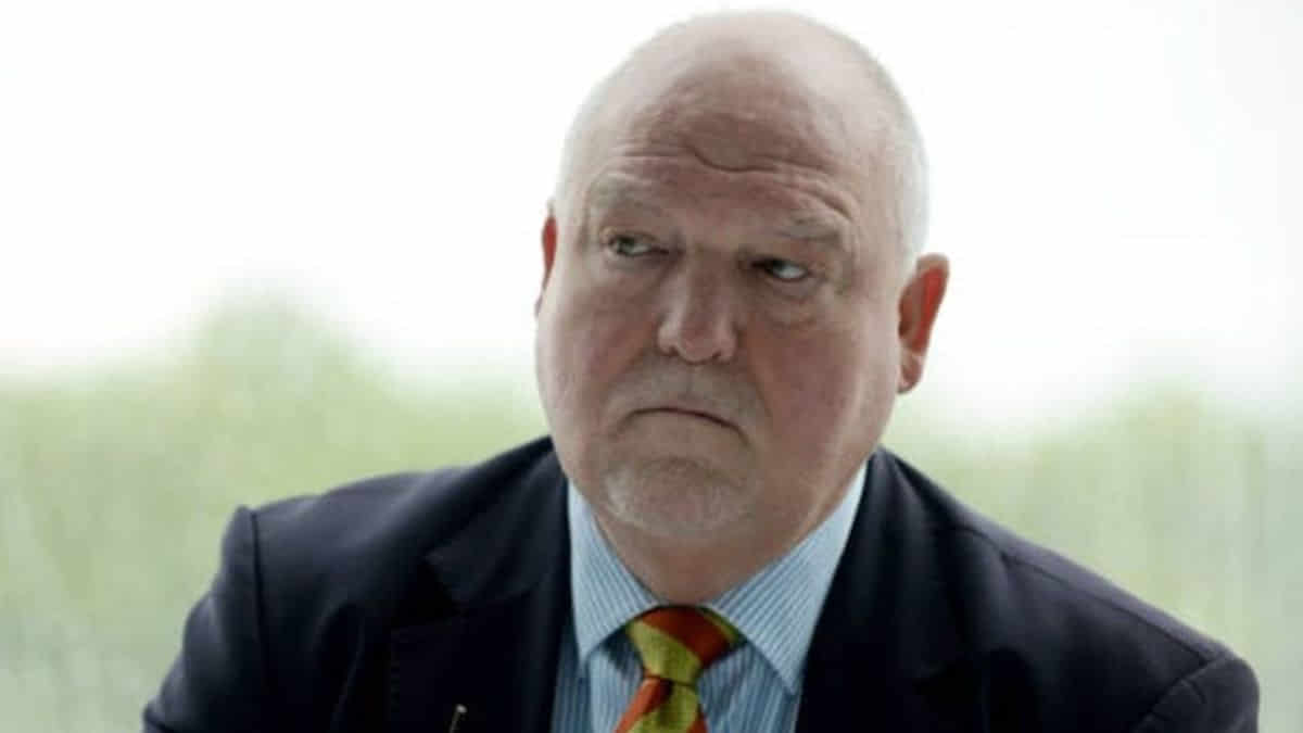 Desert Vipers | Sports Digest