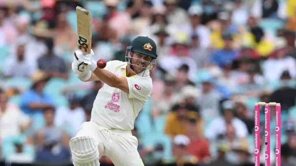 Top 6 Heaviest Cricket Bats Used in World Cricket!