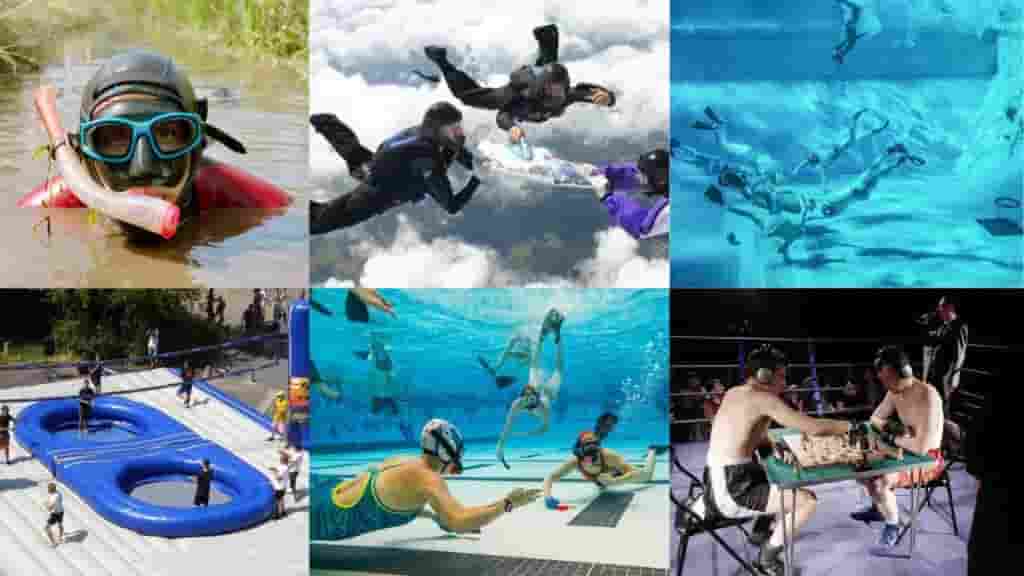 10 Unusual Sports in the World: From Quidditch to Chess Boxing