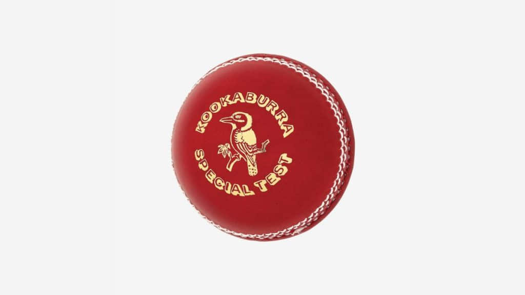 What are the different types of balls used in cricket?