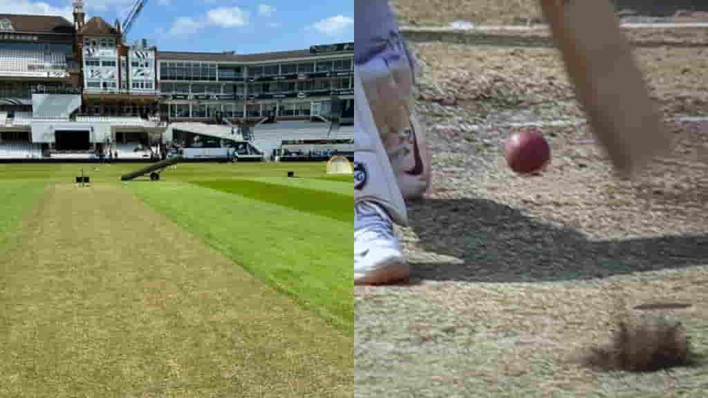 How to become a pitch curator? Here is a comprehensive guide