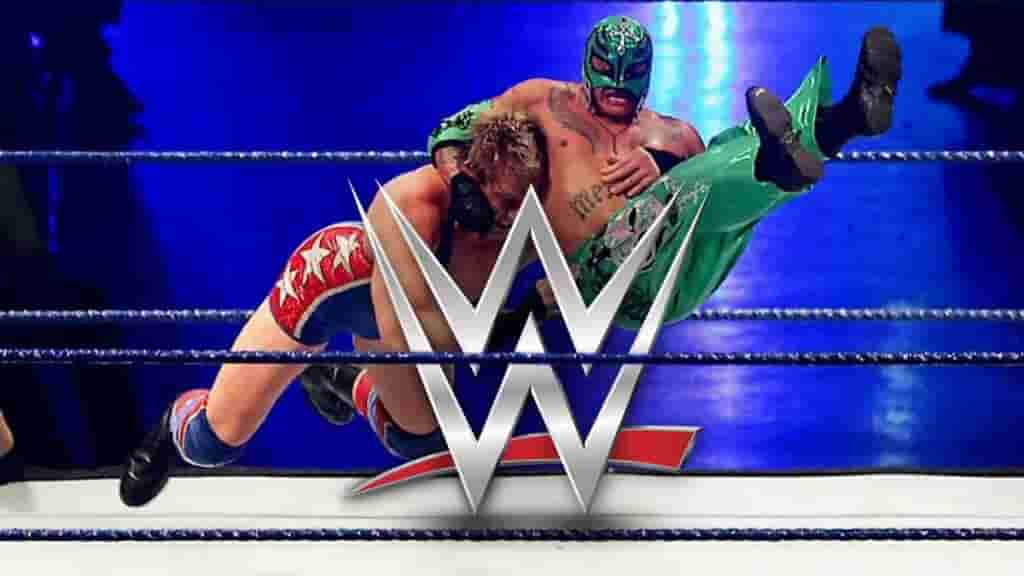 The WWE Fights: Real or Fake?